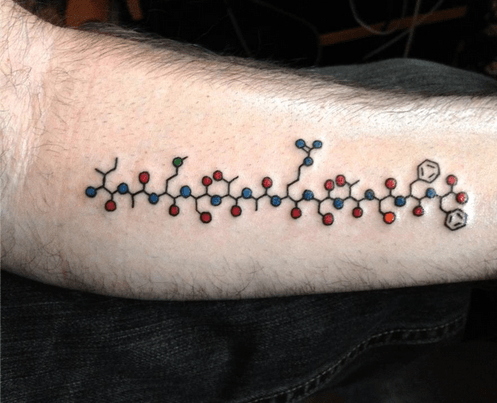 The Art of Science: would you have a permanent tribute to science inked ...